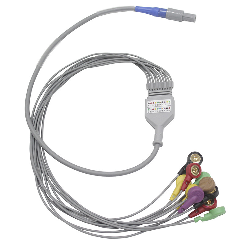 Biomedical Instruments 10 leads Holter ECG Cable and Leadwires